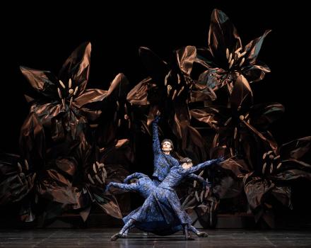 Orfeo ed Euridice | Operavision